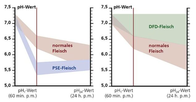 PSE Fleisch - Was ist PSE Fleisch genau